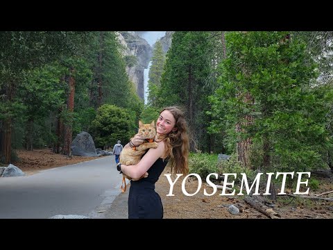 Hiking The TALLEST Waterfall In North America With My CAT!! | Yosemite National Park