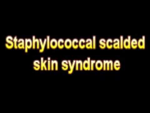 What Is The Definition Of Staphylococcal scalded skin syndrome Medical School Terminology Dictionary