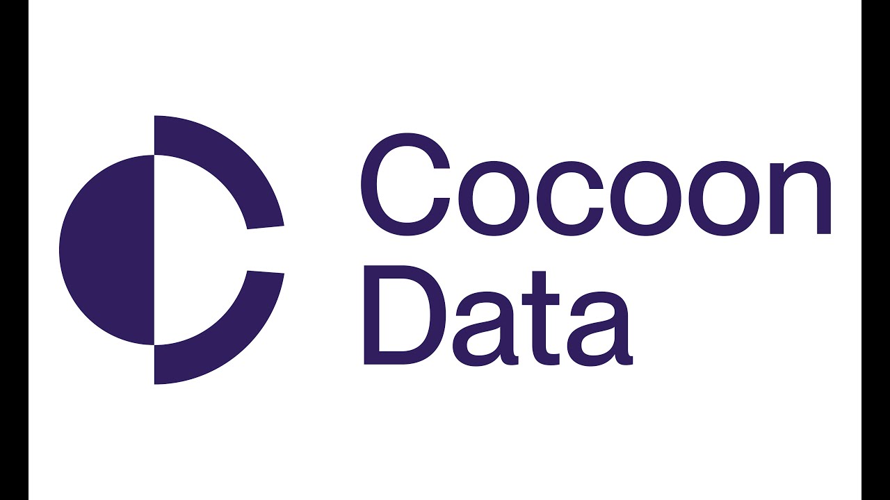 How Cocoon Data works?
