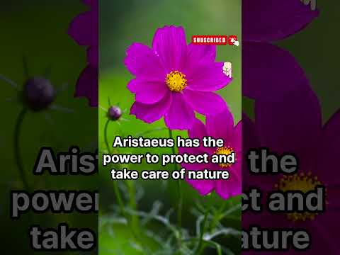 155 🤴Aristaeus🤴 Greek Myth Heroes Learn in English #shorts #미스테리 #learnenglish