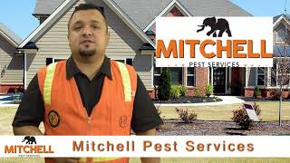 3 Best Pest Control Companies in Richmond, VA - Expert Recommendations