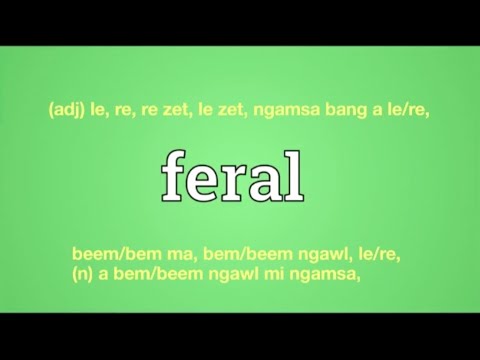 feral meaning in English Ngawn