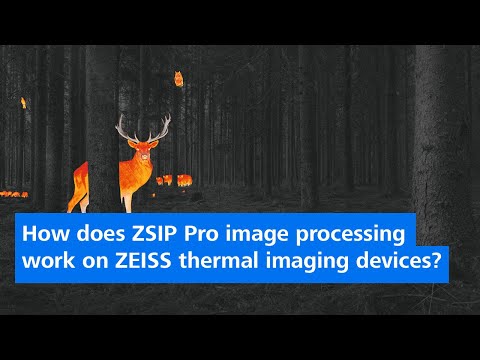 How does ZSIP Pro image processing work on ZEISS thermal imaging devices?