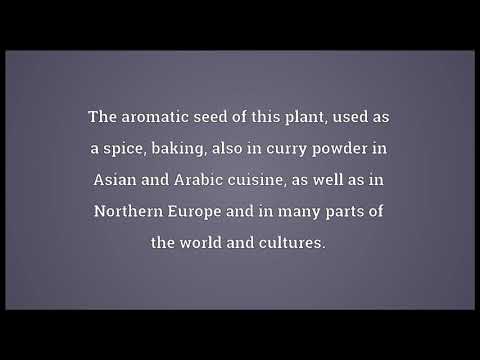 Cardamom Meaning