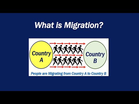 What is Migration?