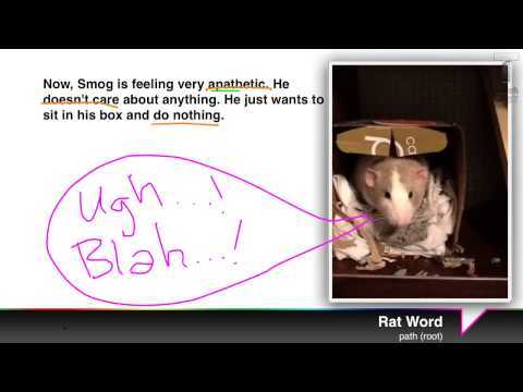 Rat Word: path (root)