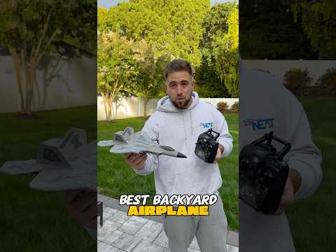 This CHEAP F22 RC Airplane from AMAZON is GREAT๐๐ผ