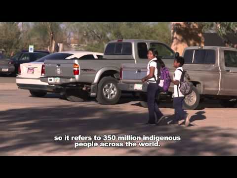2. What is the United Nations Declaration on the Rights of Indigenous Peoples?