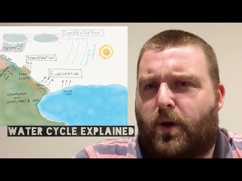 Water Cycle Explained