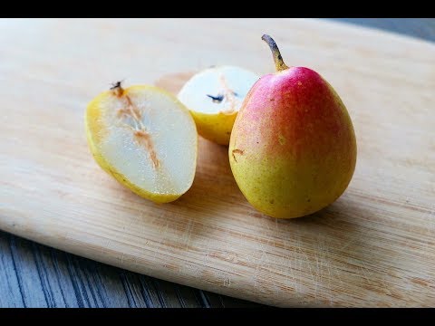 Peruan Pears, what do they taste like? Health benefits of pear