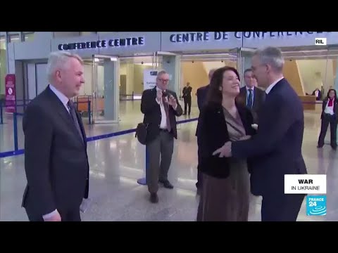 Finland's leaders in favor of applying for NATO membership • FRANCE 24 English