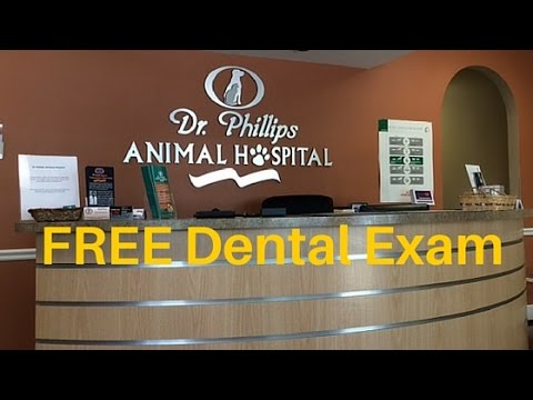 Dr Phillips Animal Hospital - (407) 352-2579 - Orlando FL Veterinarians