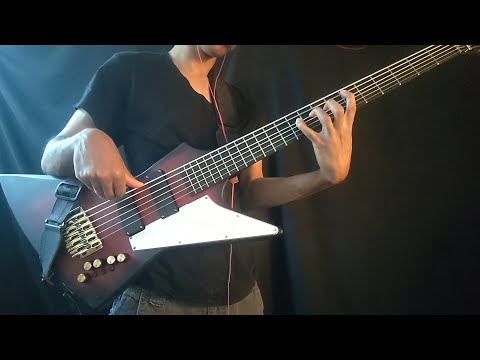 6-String Explorer Bass Oxbloodburst | Reverb