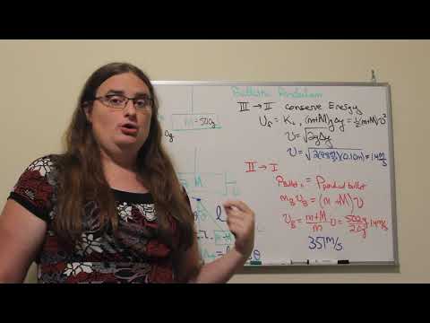 A Completely Inelastic Collision Example