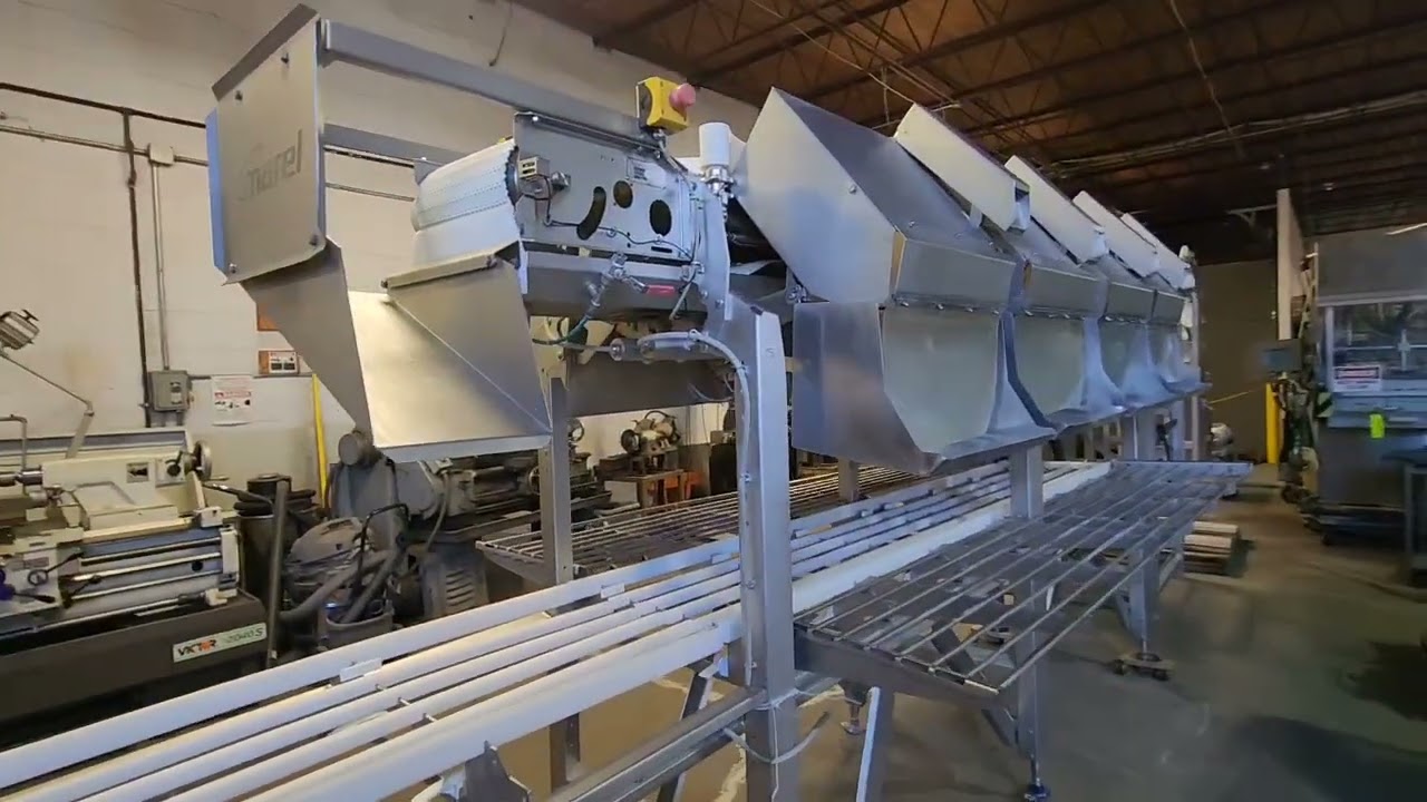 Marel Grading Line - M&M Equipment item # 9114