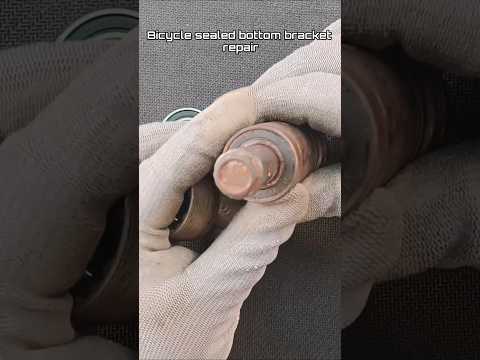 Bicycle sealed bottom bracket bearing replacement 163110-2RS#shorts