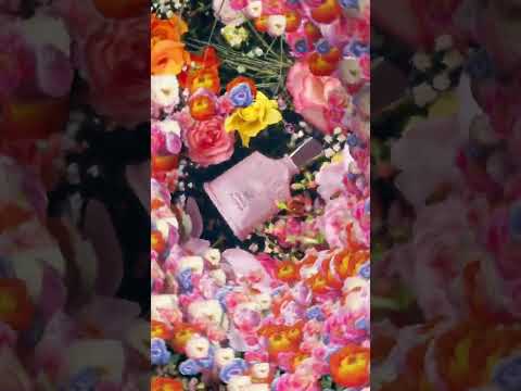Creed Spring Flower | Augustynka, rep. by JSR