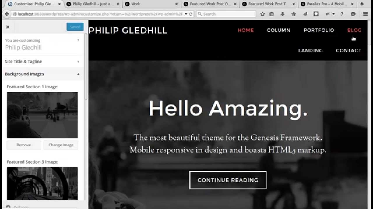 Parallax Pro theme review
