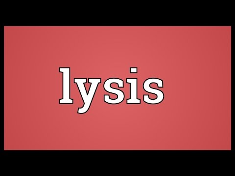 Lysis Meaning