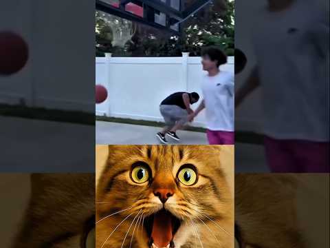 can you solve it?π€(warning message)#cat #memes #funny #dance