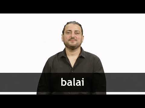 English Translation of “BALAI” | Collins French-English Dictionary