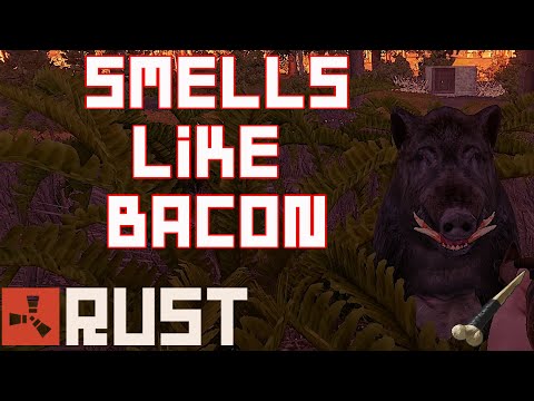 Steam Community :: Video :: Rust - Smells like Bacon