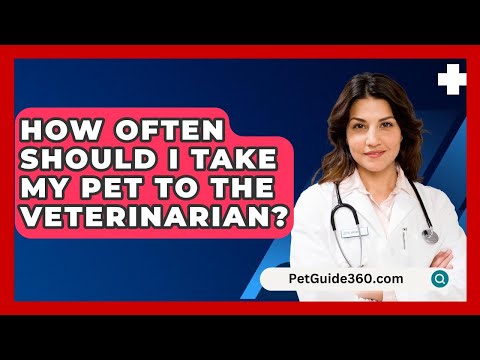 How Often Should I Take My Pet to the Veterinarian? - PetGuide360.com