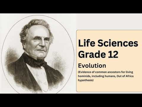 Are You Missing This CRUCIAL Piece of Evidence in Human Evolution?