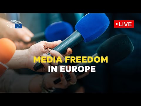 MEPs to push for more protection of journalists and media freedom