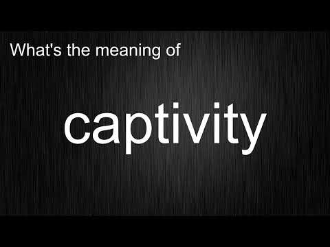 What's the meaning of "captivity", How to pronounce captivity?