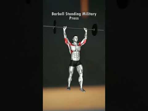 Barbell Standing Military Press Guide: Enhance Your Shoulders Workouts