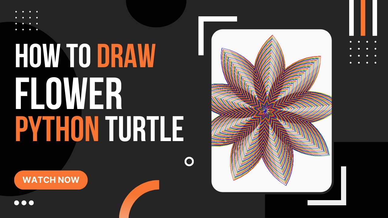 Drawing flower using Python Turtle | Tutorials Tuts Python Turtle