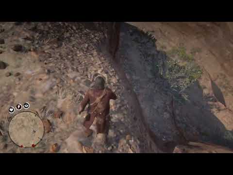 Steam Community :: Video :: rdr2 bug