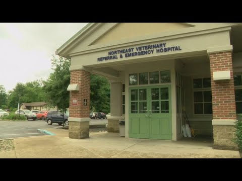 Unpopular Change in Animal Hospital Emergency Hospital Hours