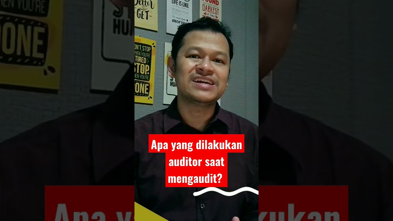 What do auditors do when auditing?