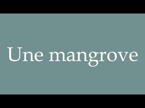 How to Pronounce ''Une mangrove'' (A mangrove) Correctly in French