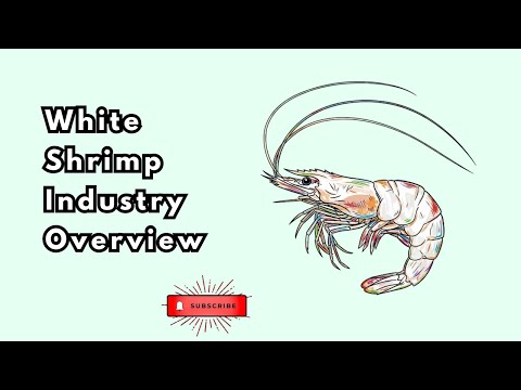 White Shrimp Industry Overview