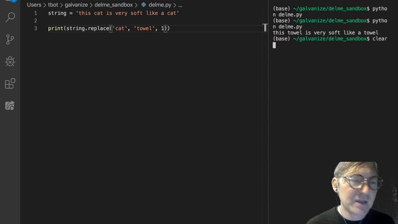 String Functions and Methods - the replace method