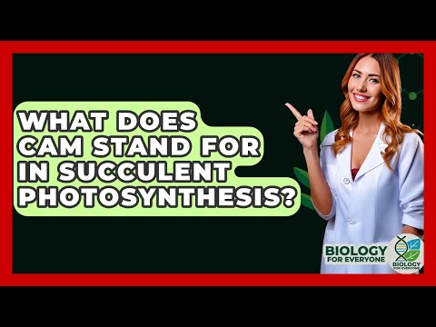 What Does CAM Stand For In Succulent Photosynthesis? - Biology For Everyone