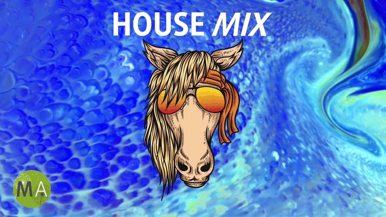 Upbeat Study Music House Mix - Peak Focus Beta Wave Isochronic Tones