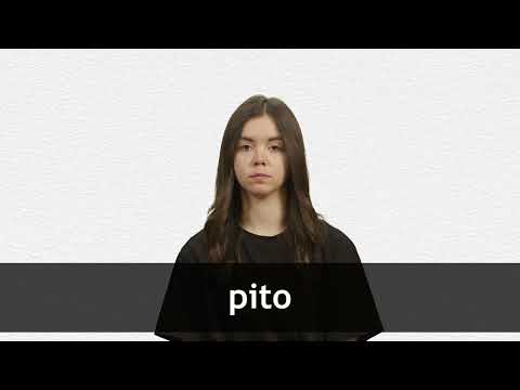 English Translation of “PITO” | Collins Spanish-English Dictionary