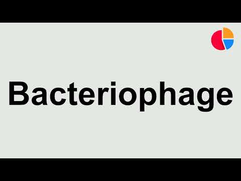 How to Pronounce: "Bacteriophage"