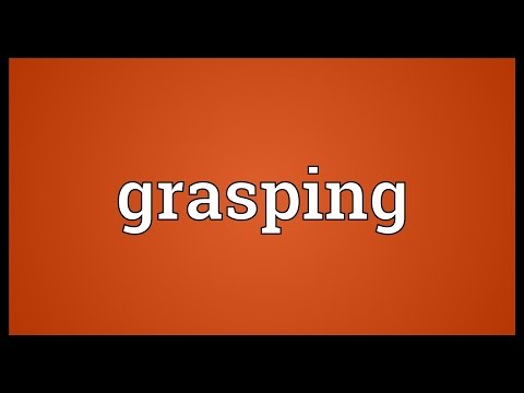 Grasping Meaning