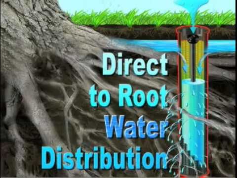 Root Watering System Video Gallery - Rootwell Products, Inc.