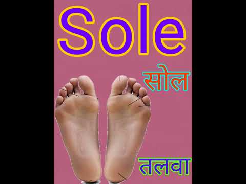 Sole meaning in hindi with photo
