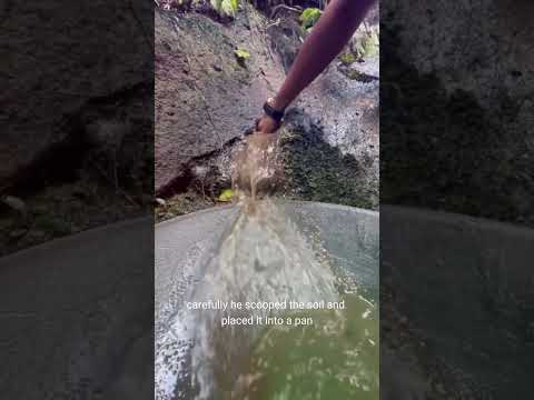 He Found GOLD Inside a River Rock?! Shocking Discovery!