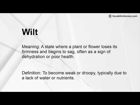 Wilt Meaning