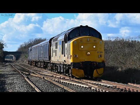 Europhoenix, Class 37, 37901 'Mirrlees Pioneer' & 37423 #class37 #type3 #br #loco #train #railway