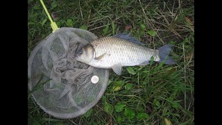 HTFJカンパニーの動画 | アクティビティジャパン