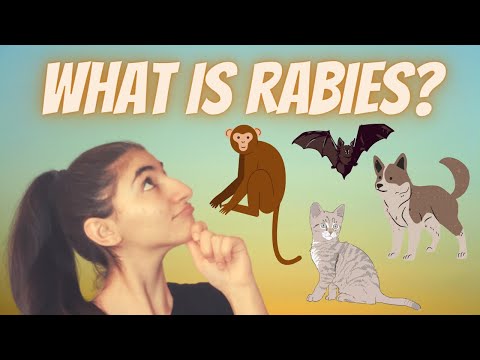 What is rabies? #Rabies #TravelHealth #TravelHealthPharmacist